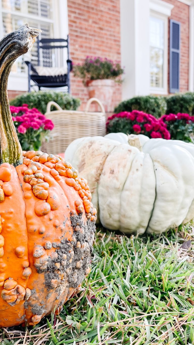 How To Clean and Preserve Pumpkins To Make Them Last Longer - wildfire ...